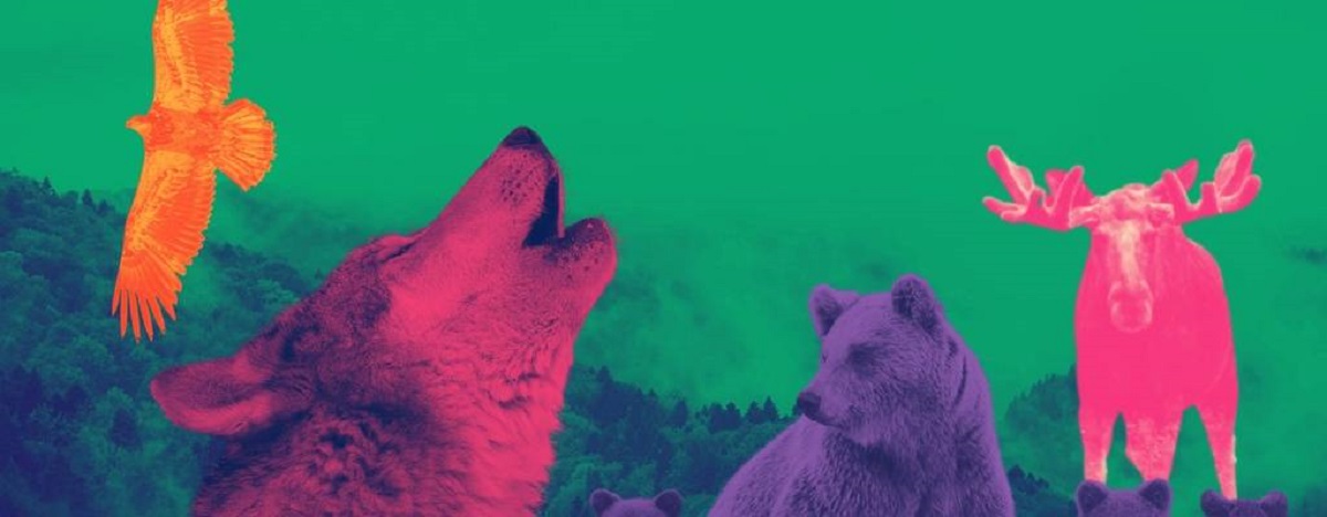 What is Rewilding? » CNBC Posts