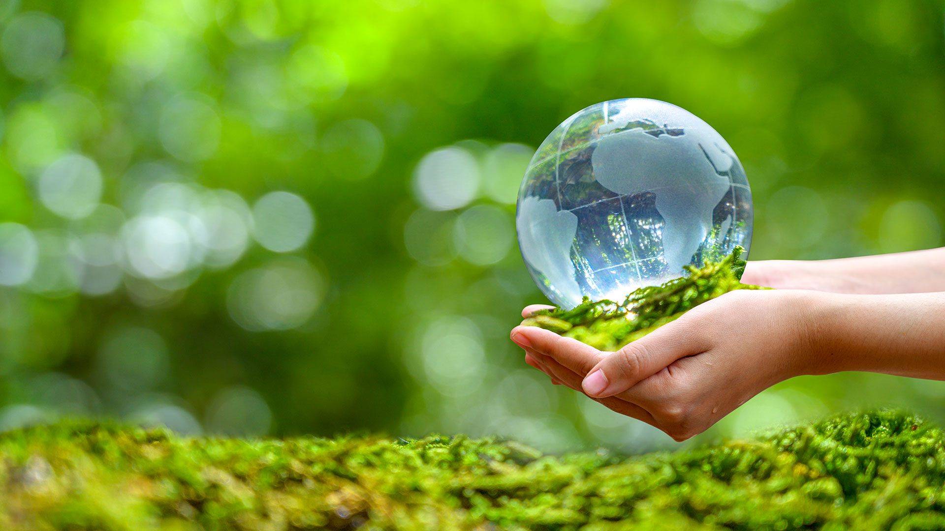 The Basics of Environmental Resources » CNBC Posts